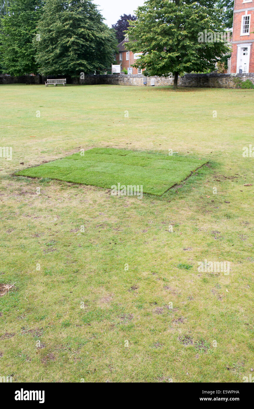 Square patch of newly laid turf Stock Photo - Alamy