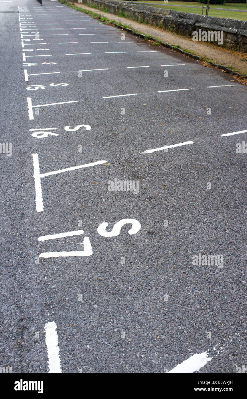 Designated and numbered parking spaces separated by white painted lines ...