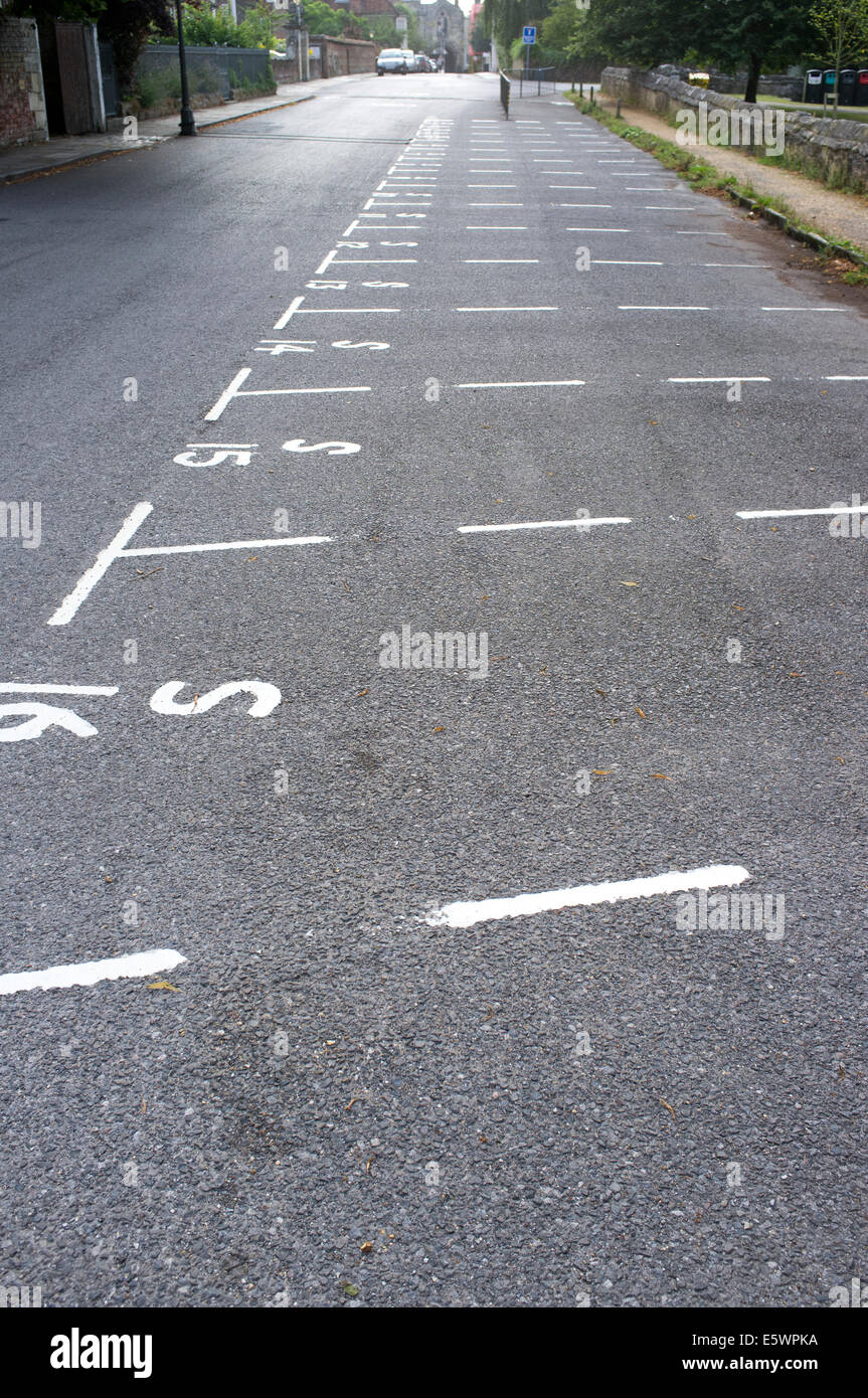 Designated and numbered parking spaces separated by white painted lines ...