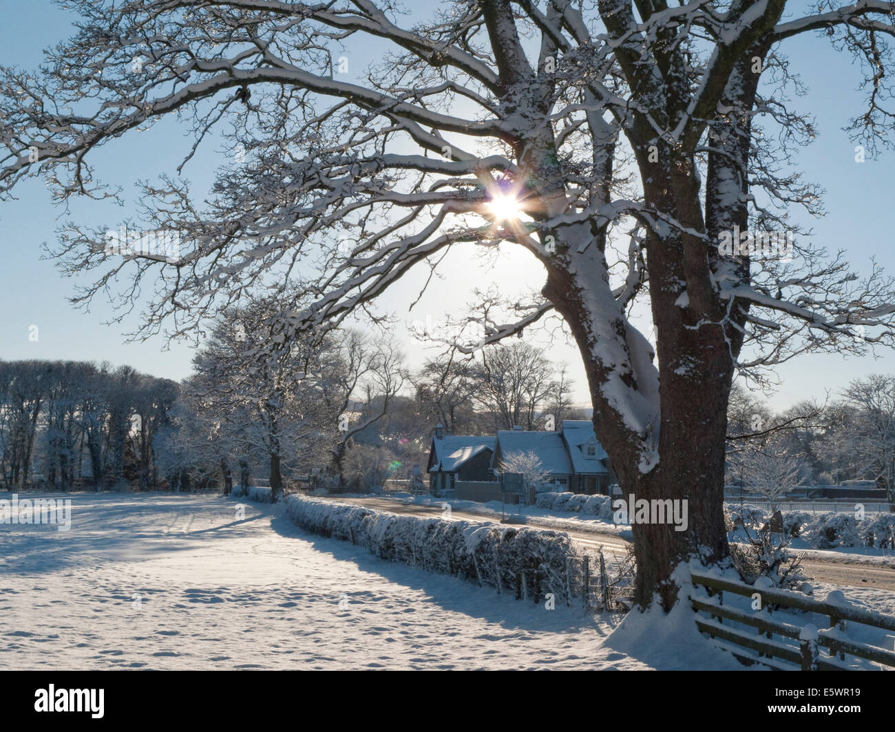 Snow-covered landscape, Berwickshire, Scotland Stock Photo - Alamy