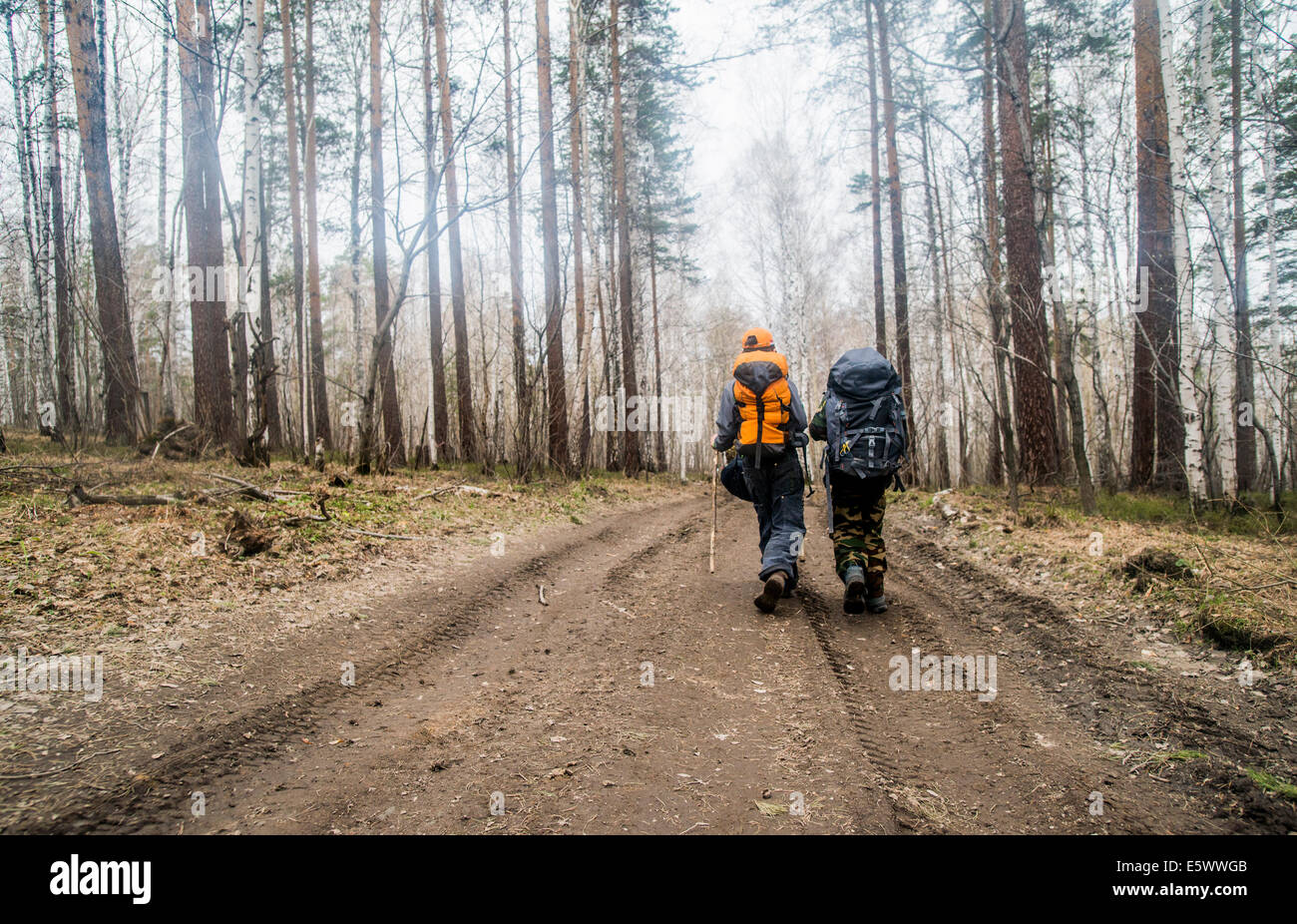 Rear view of boy hikers hiking on forest dirt track Stock Photo - Alamy
