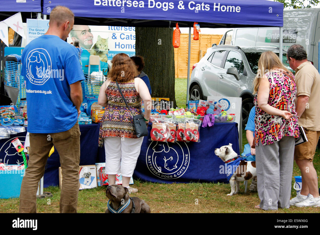 CLA Blenheim Country Game Fair Woodstock Oxfordshire - Battersea Dogs ...