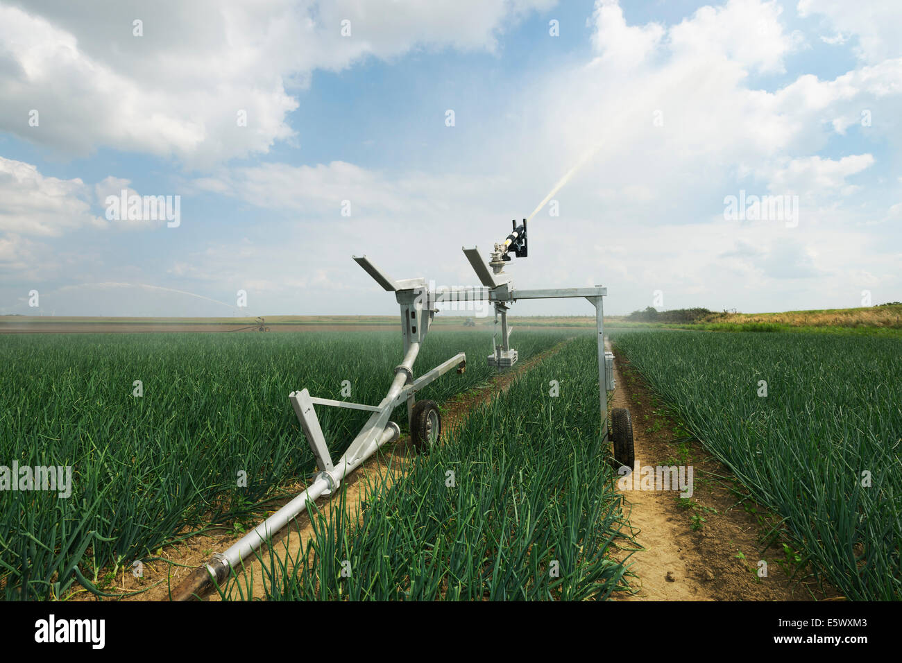 Drought irrigation hi-res stock photography and images - Alamy