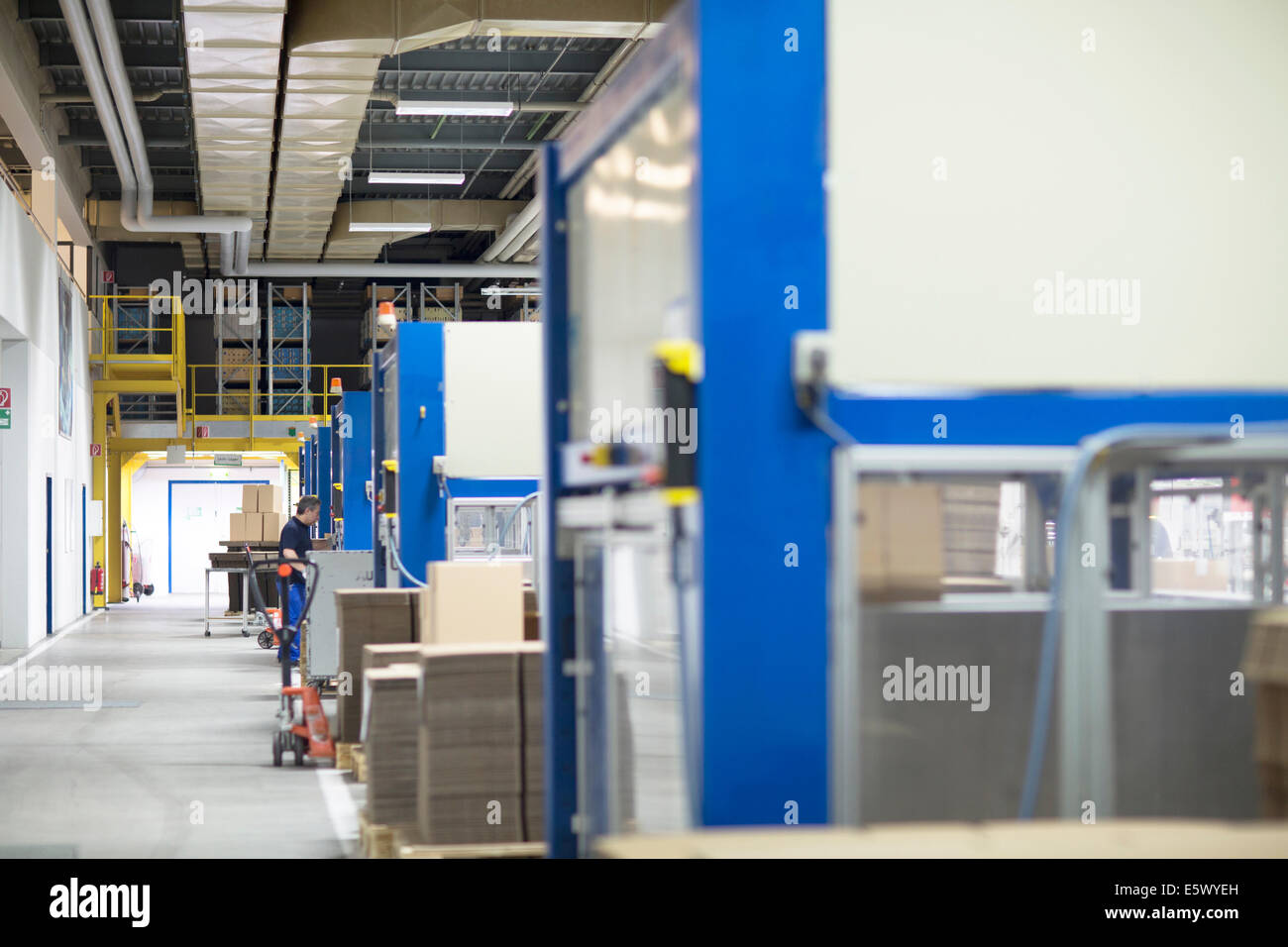 Worker in paper packaging factory Stock Photo - Alamy