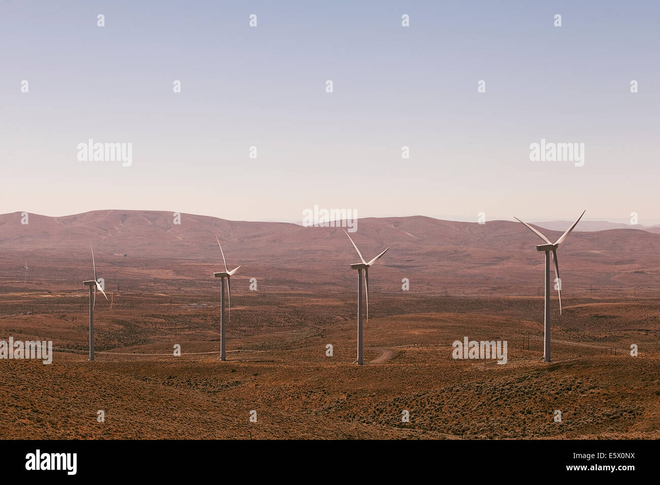Row of wind turbines in rural landscape, Washington State, USA Stock ...