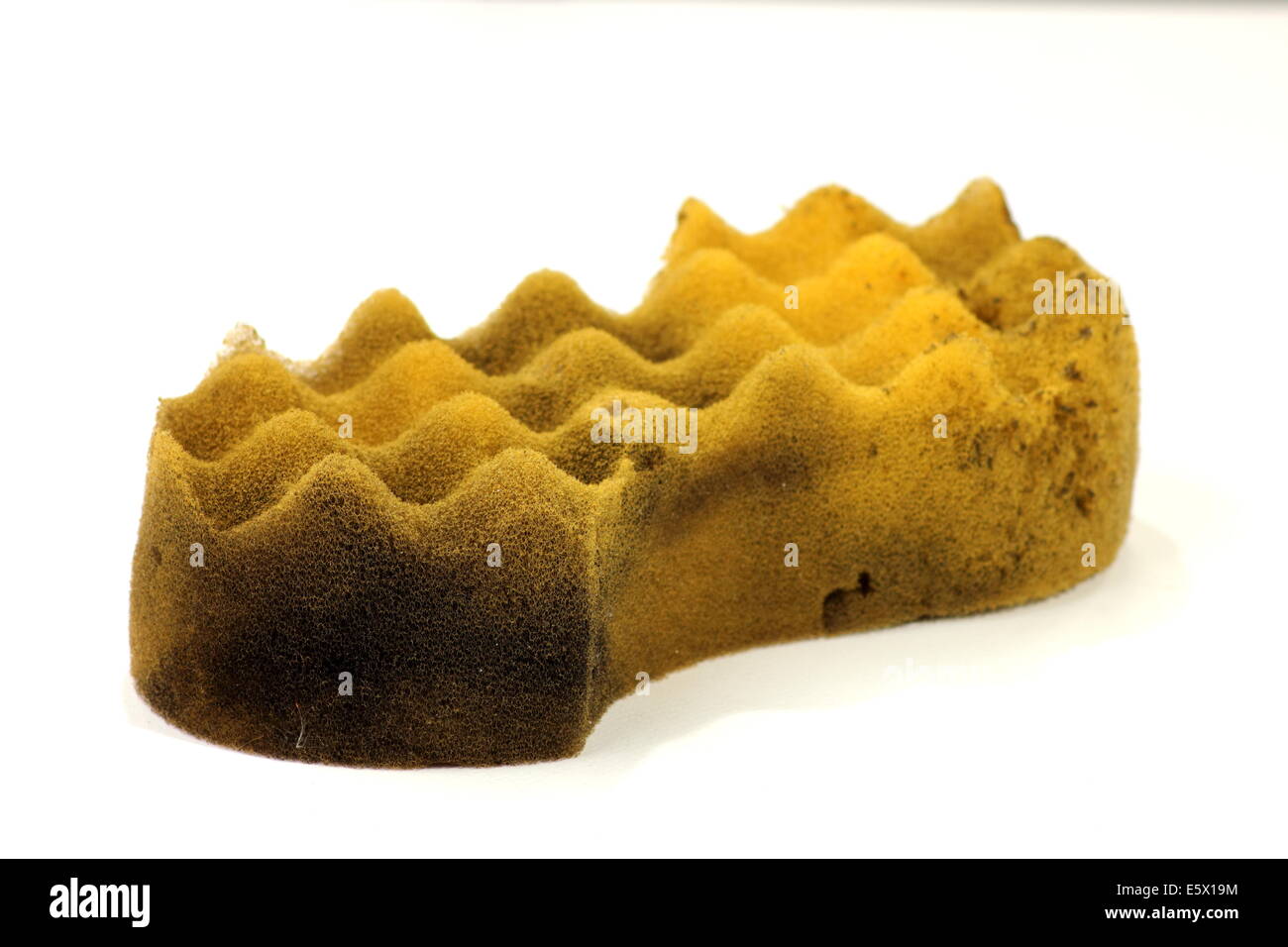 Wet Sponges High Resolution Stock Photography and Images - Alamy