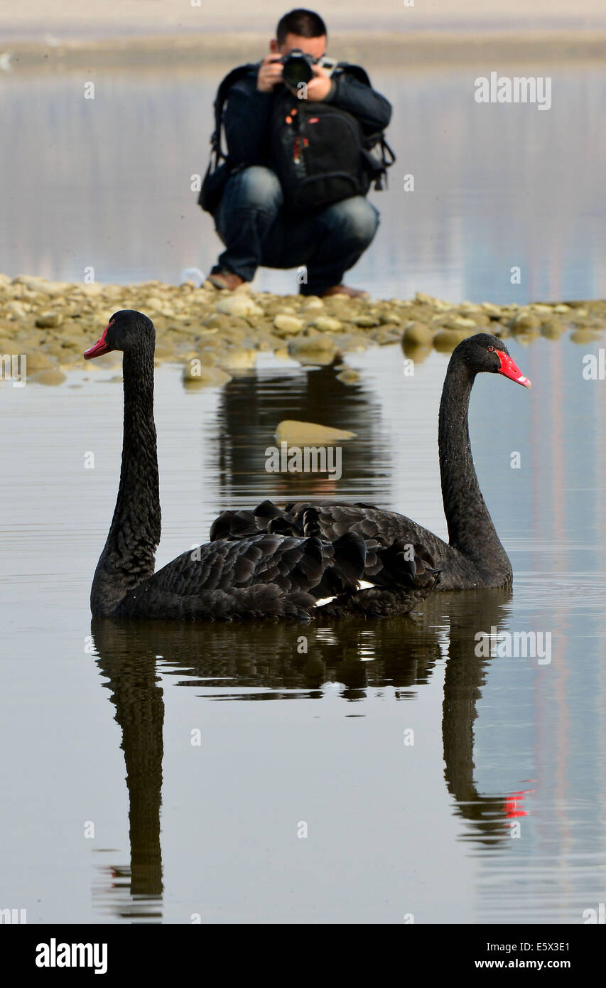 (140807) --ZHENGZHOU, Aug. 7, 2014 (Xinhua) -- A photographer takes ...