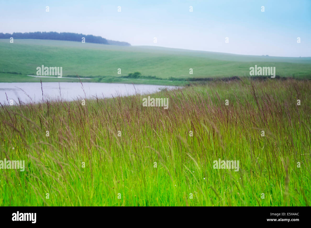 Grass and sky. Sunny spring day Stock Photo - Alamy