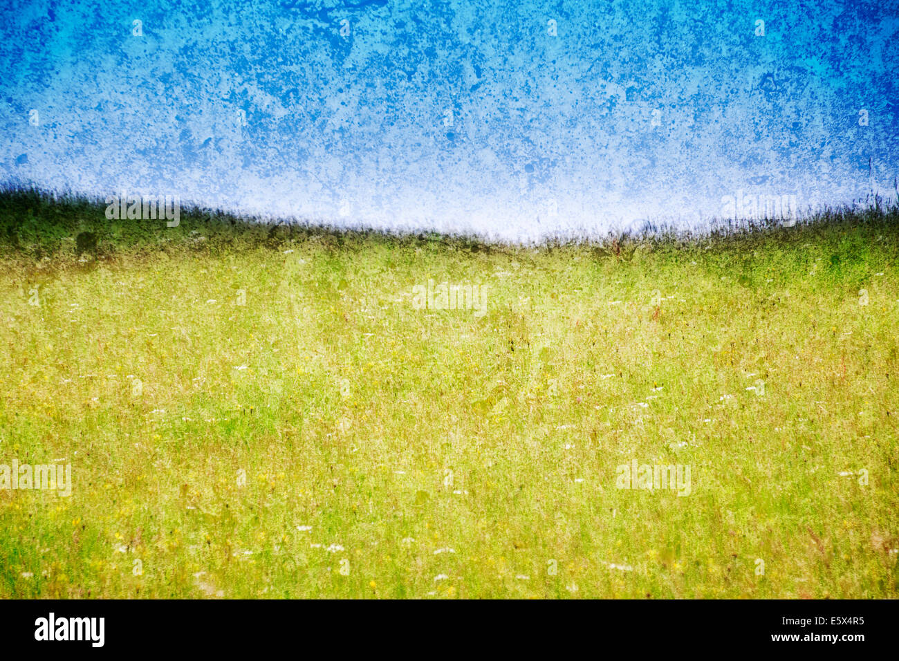 Grass and sky. Sunny spring day Stock Photo - Alamy