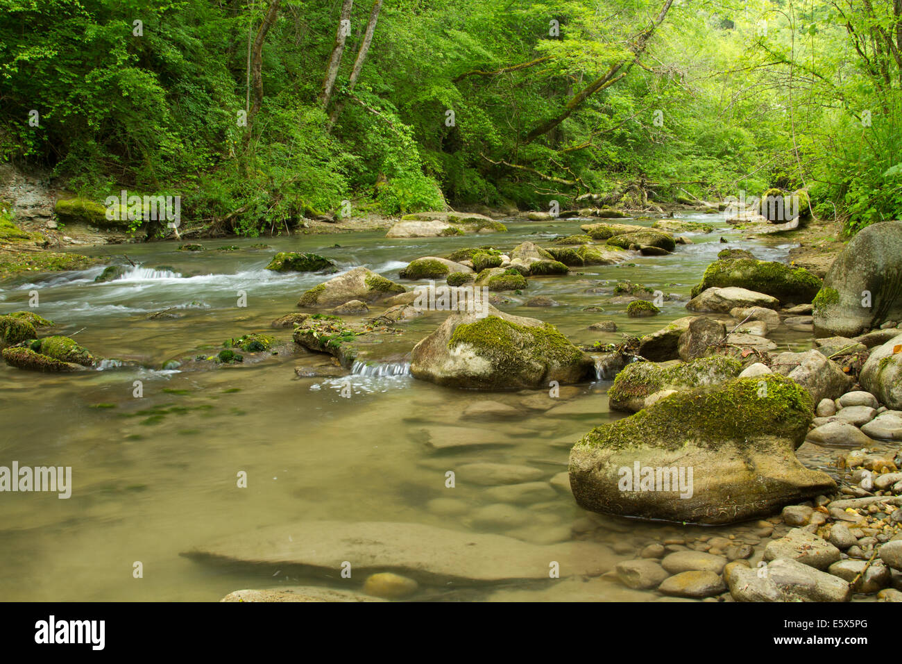 river with heavily wooded riverbanks Stock Photo - Alamy
