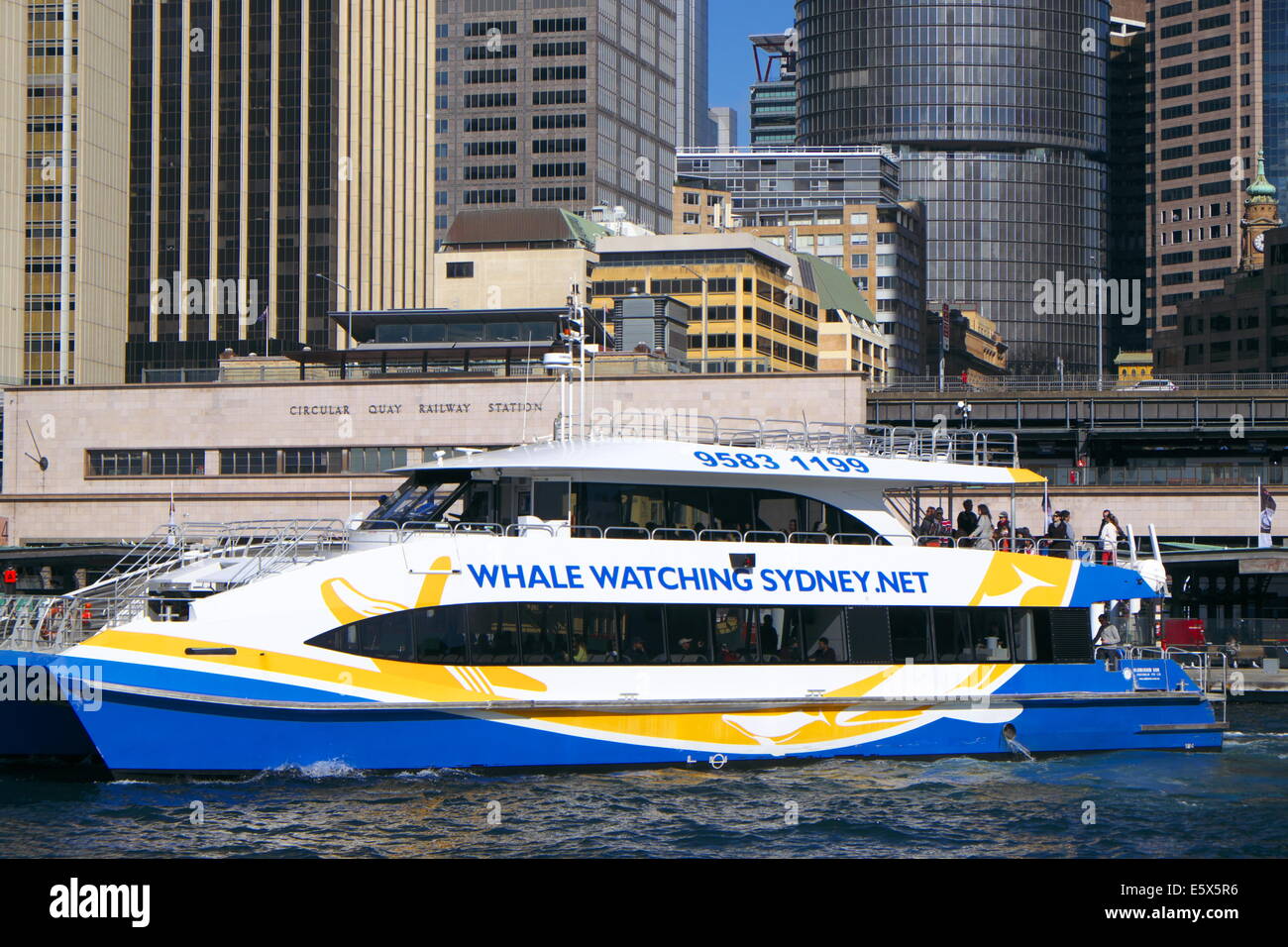 Manly fast ferry and Whale watching boat vessel at Circular quay Sydney ...
