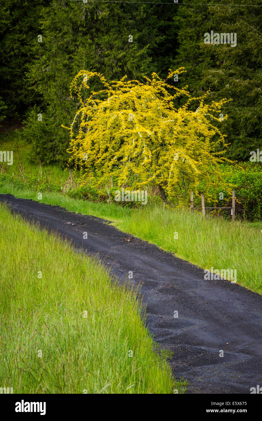 Yellow us hi-res stock photography and images - Alamy