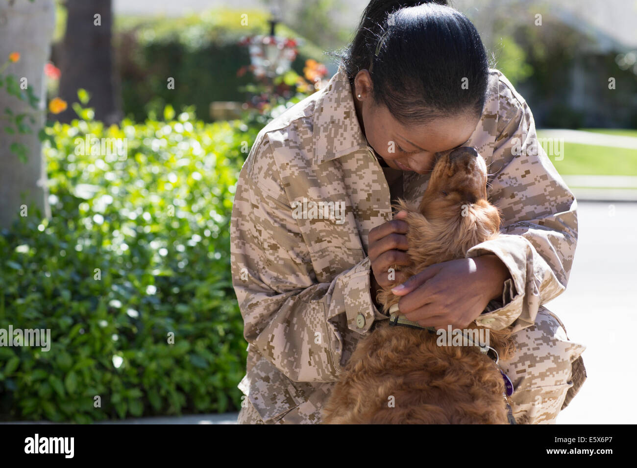 Female soldier hugging pet dog on street at homecoming Stock Photo - Alamy