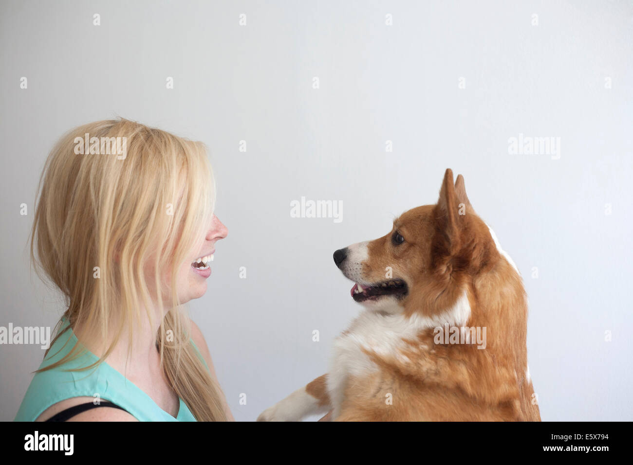 Dog face side view hi-res stock photography and images - Alamy