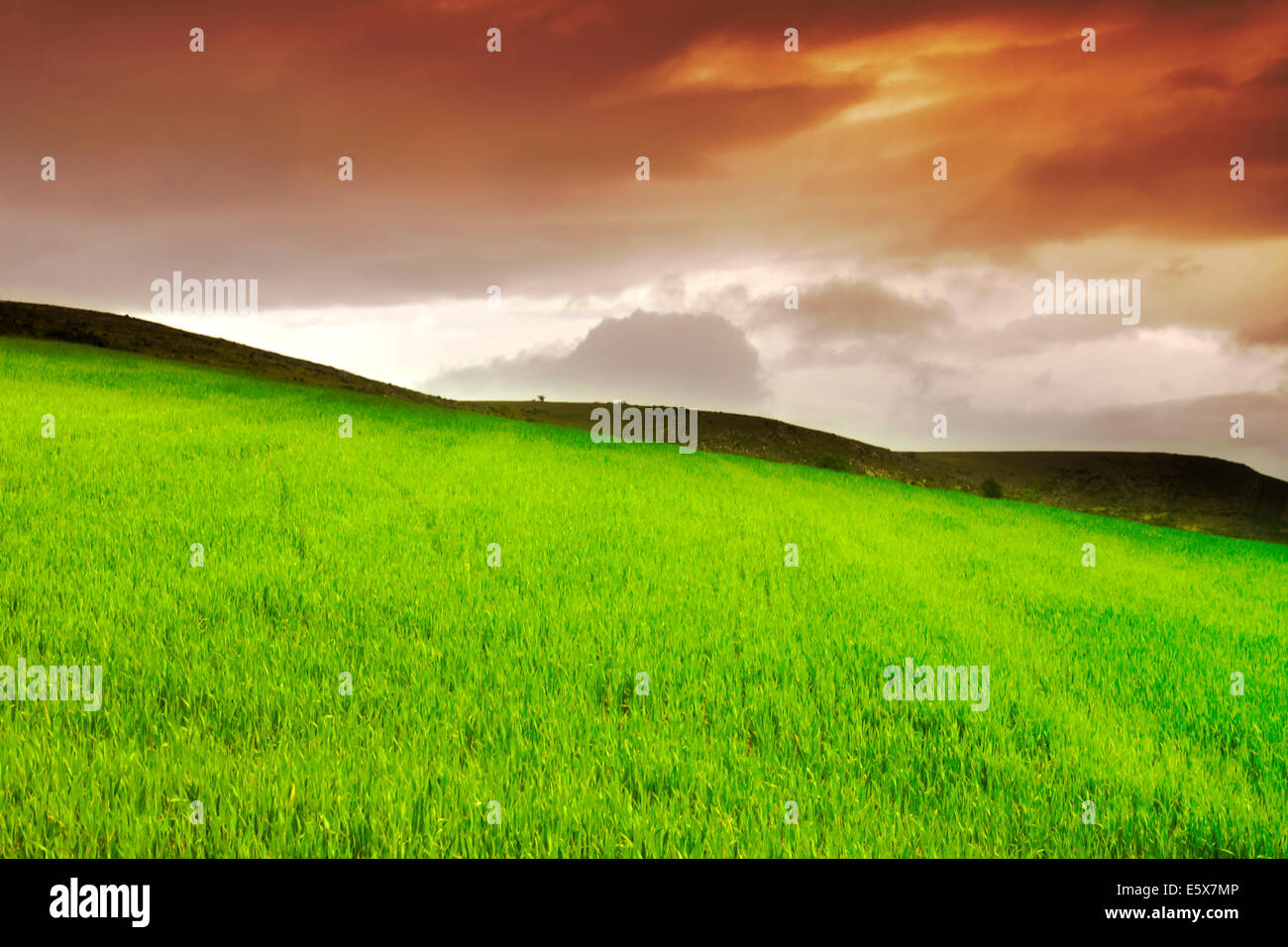 spring landscape with a cloudy sky Stock Photo - Alamy