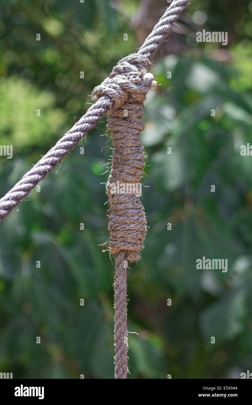 knots in a thick rope Stock Photo - Alamy