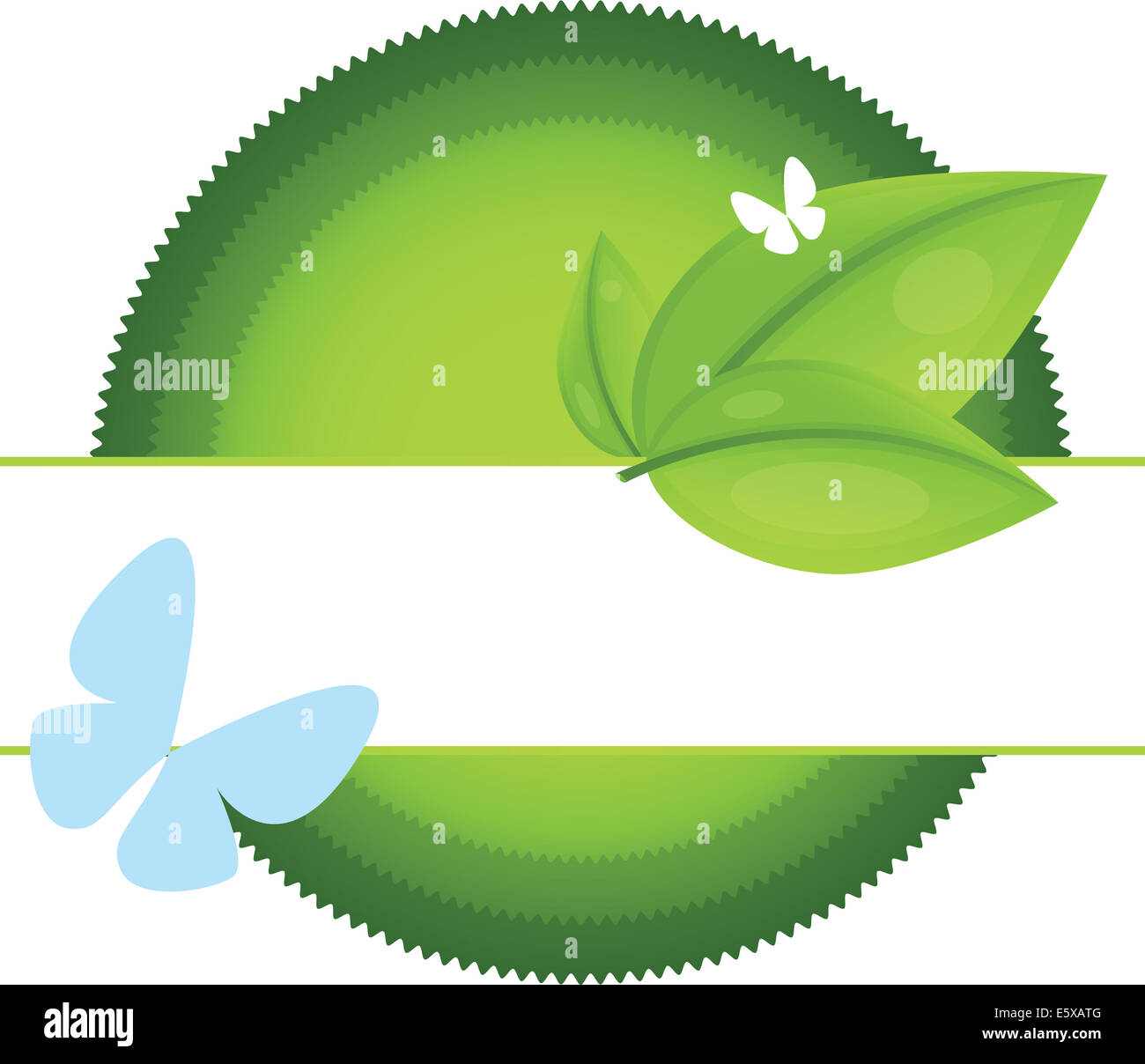 Eco Label with leaf and blue butterfly Stock Photo - Alamy