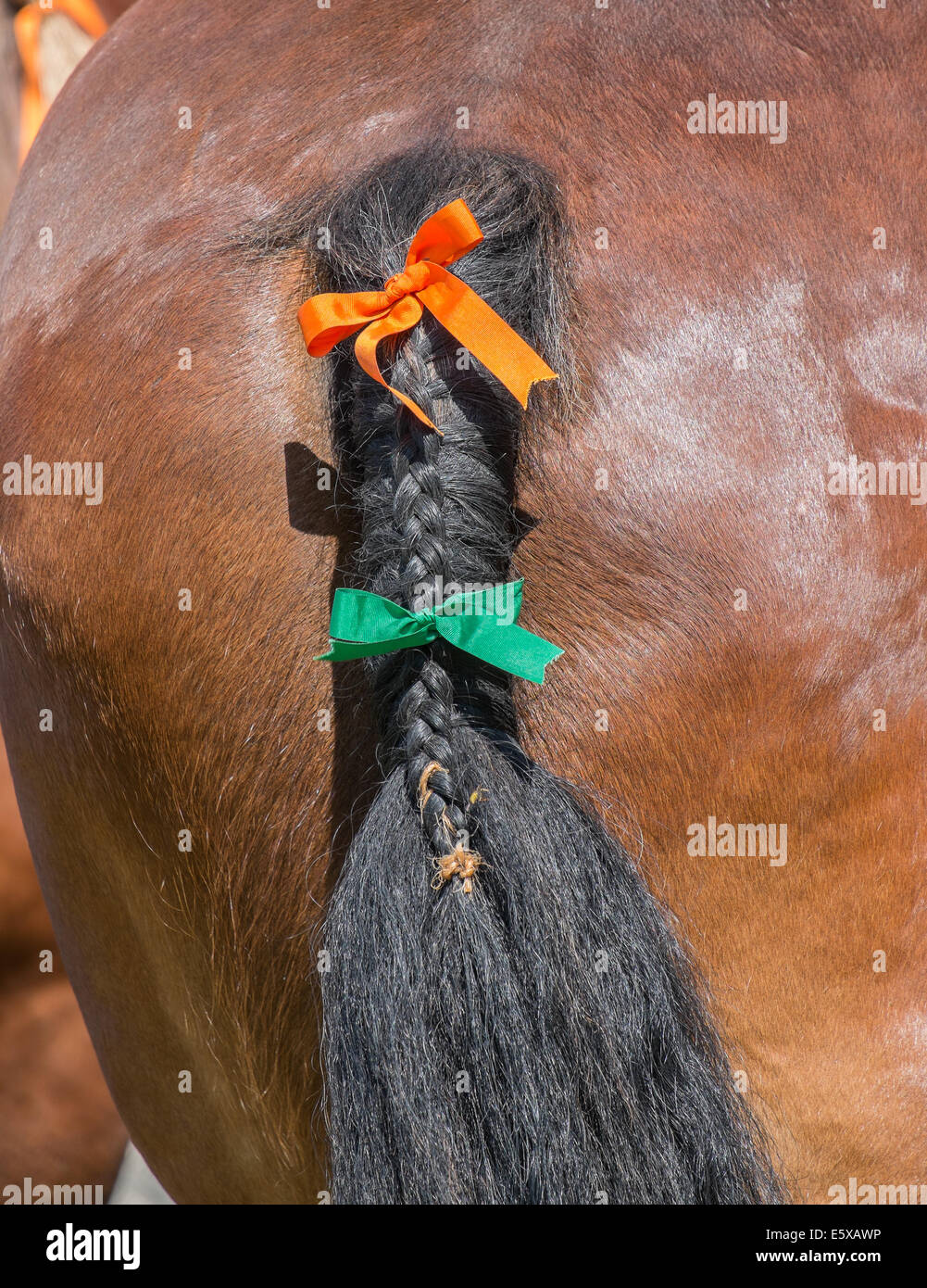 "Worstead Festival" in the county of Norfolk, UK Stock Photo - Alamy