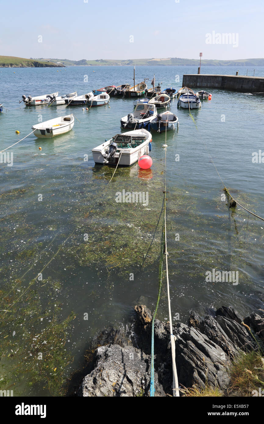 the village and harbour of portscatho on the cornish coast Stock Photo ...