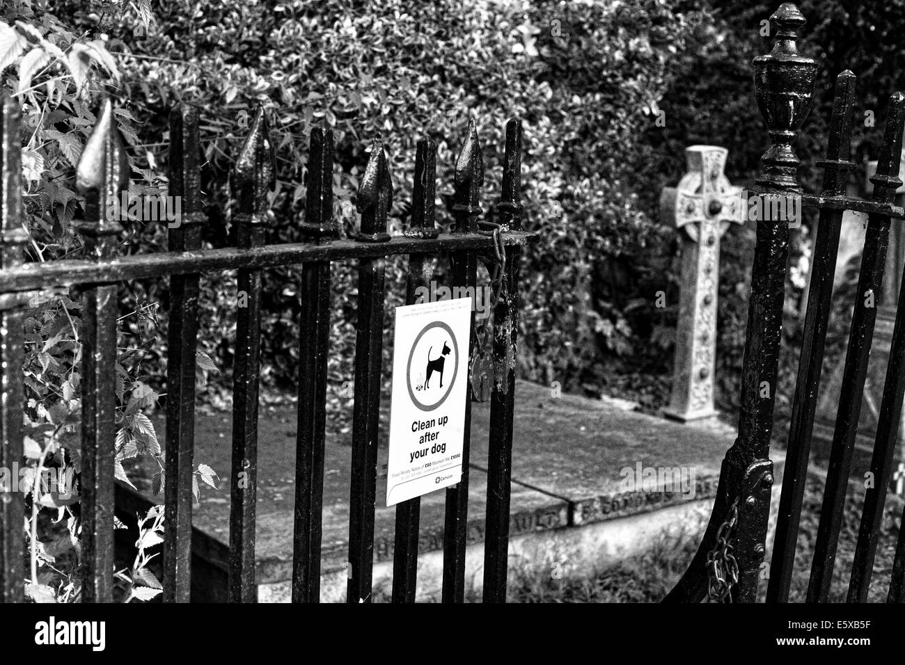 Dog heaven black hi-res stock photography and images - Alamy