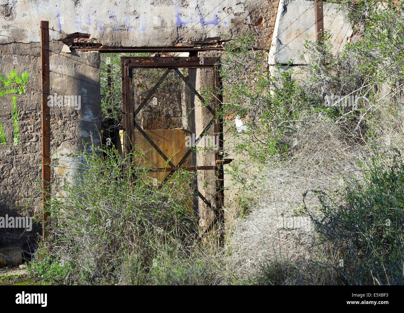 rusty door of an abandoned Stock Photo - Alamy