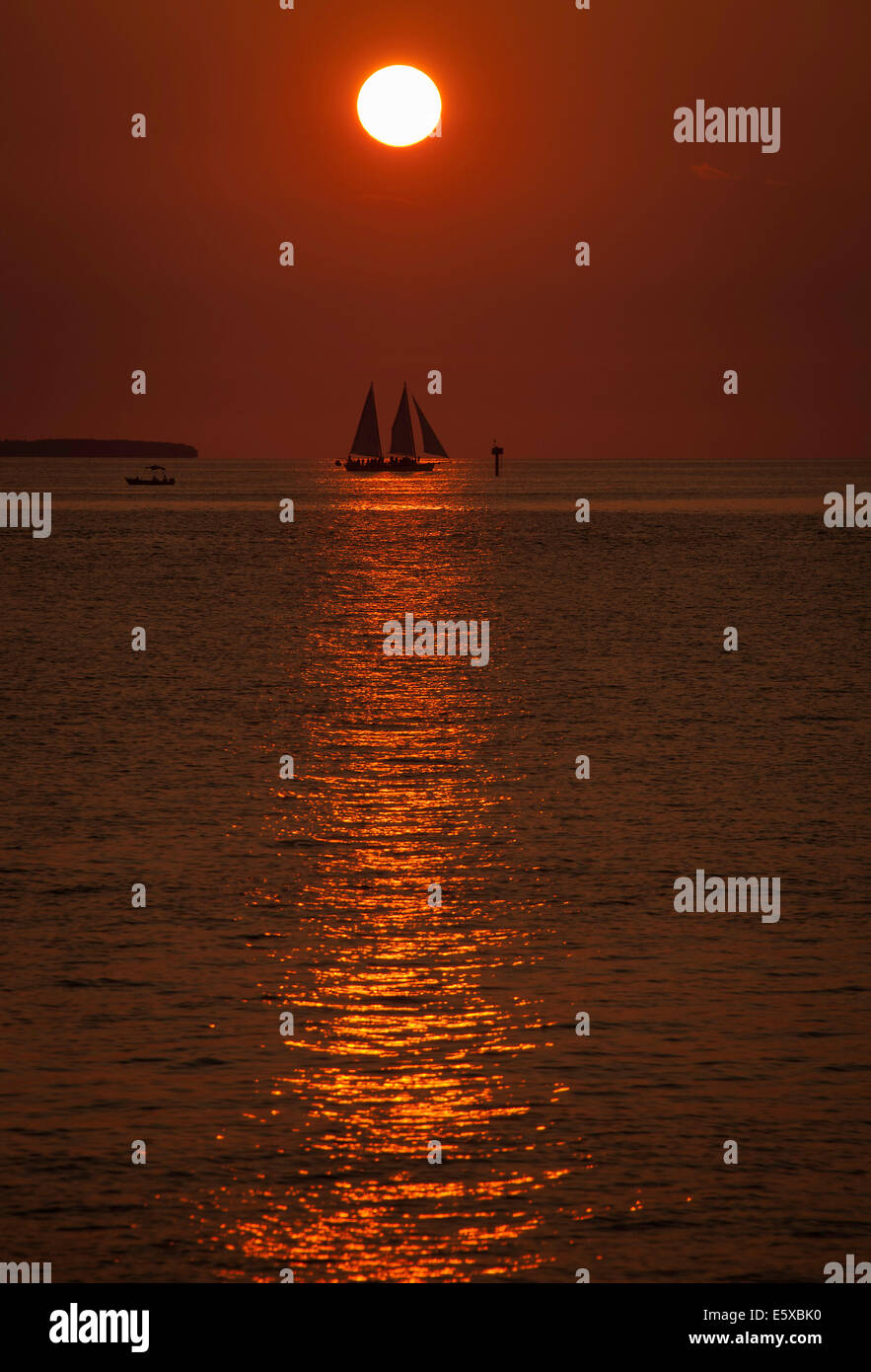 Sailing boat on the sunset, Islamorada Keys Florida USA Stock Photo - Alamy