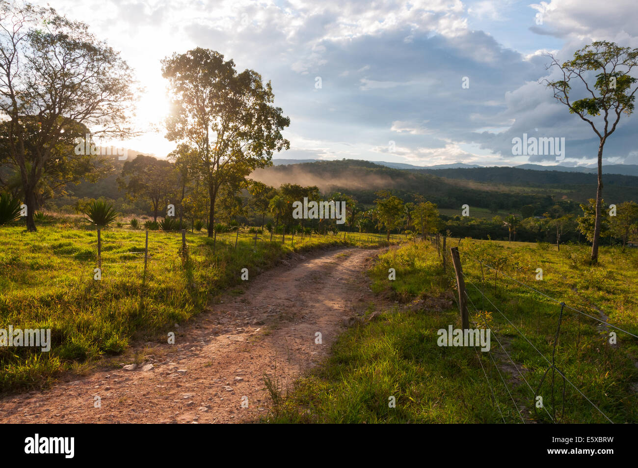Brazil countryside hi-res stock photography and images - Alamy