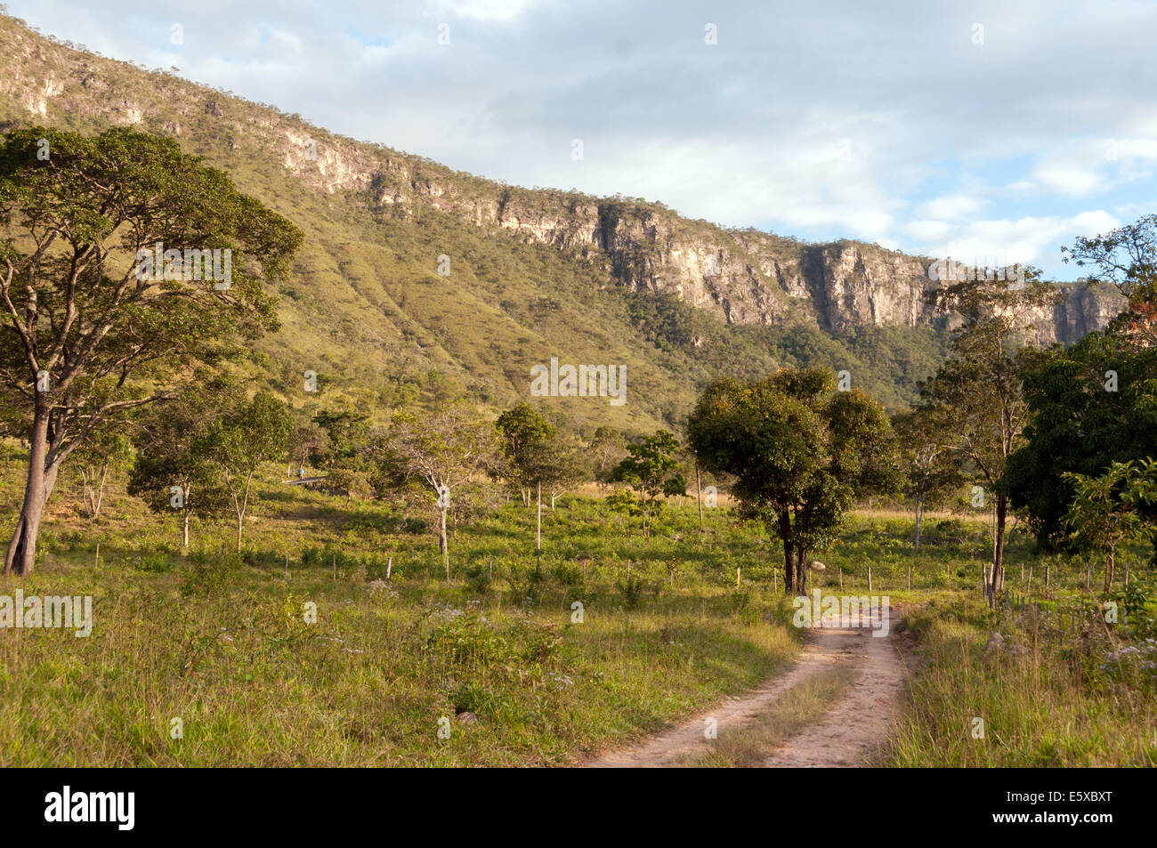 Brazilian countryside hi-res stock photography and images - Alamy