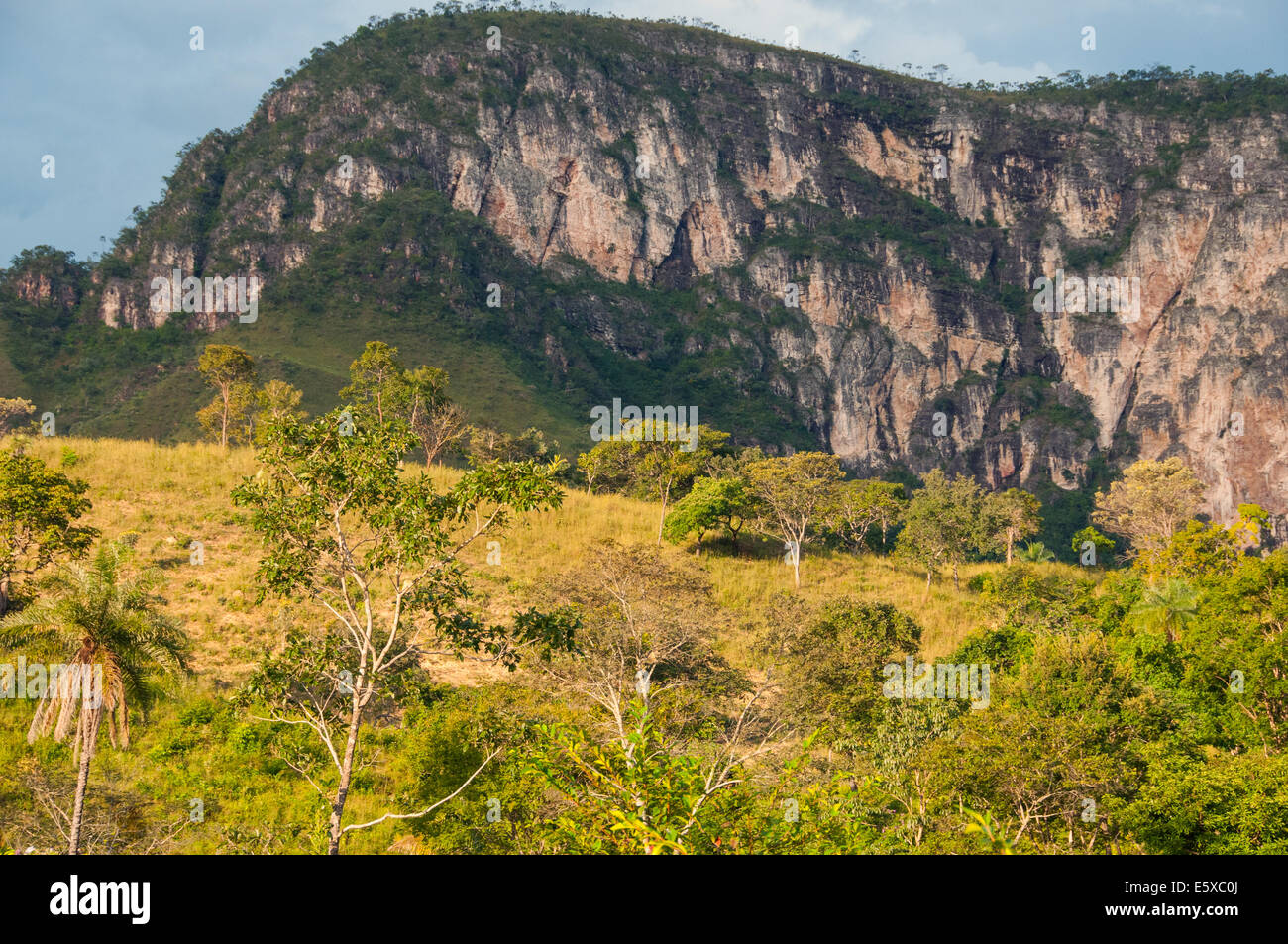 Beautiful landscape next to Alto Paraiso , Goiás state Brazil Stock ...