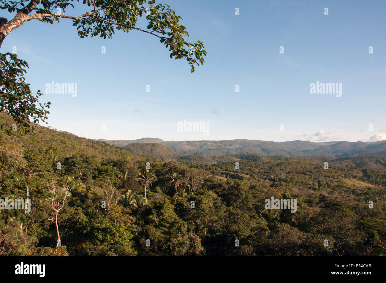Jungle landscape panoramic hi-res stock photography and images - Alamy