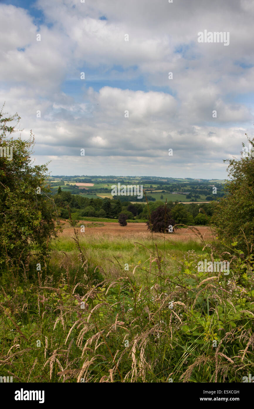Bromyard hi-res stock photography and images - Alamy