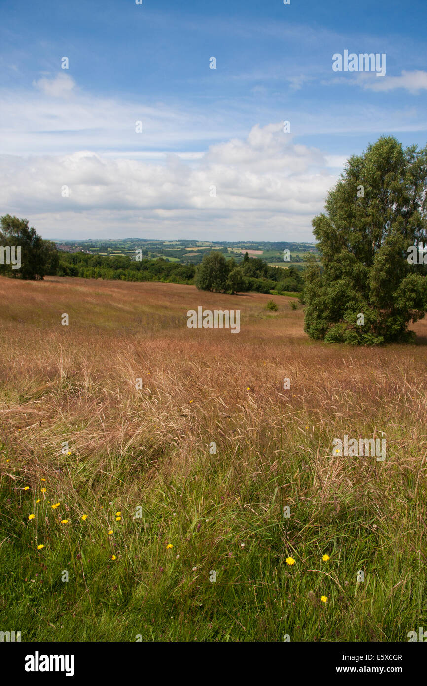 Bromyard hi-res stock photography and images - Alamy