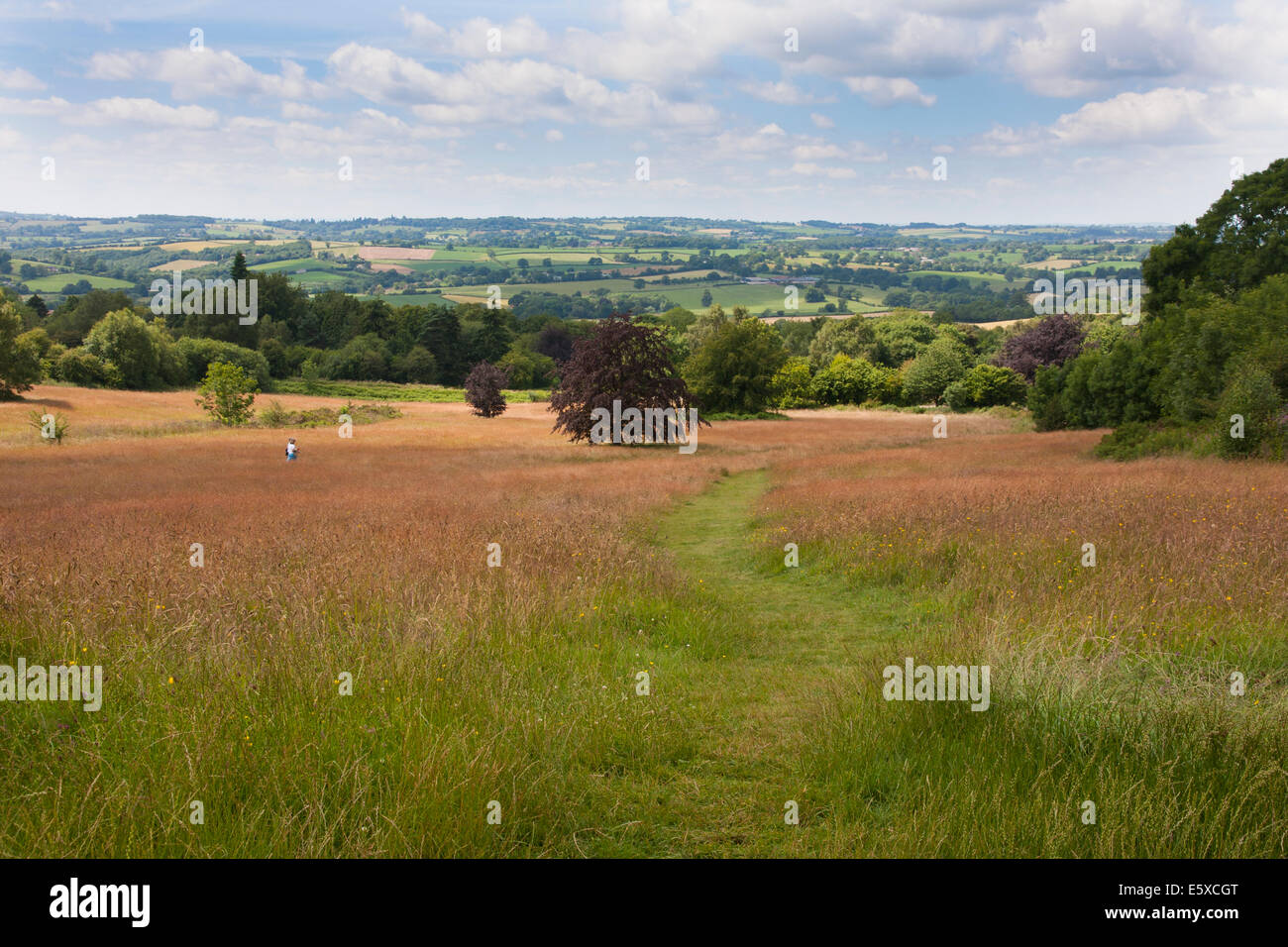 Bromyard Downs Herefordshire Stock Photo - Alamy