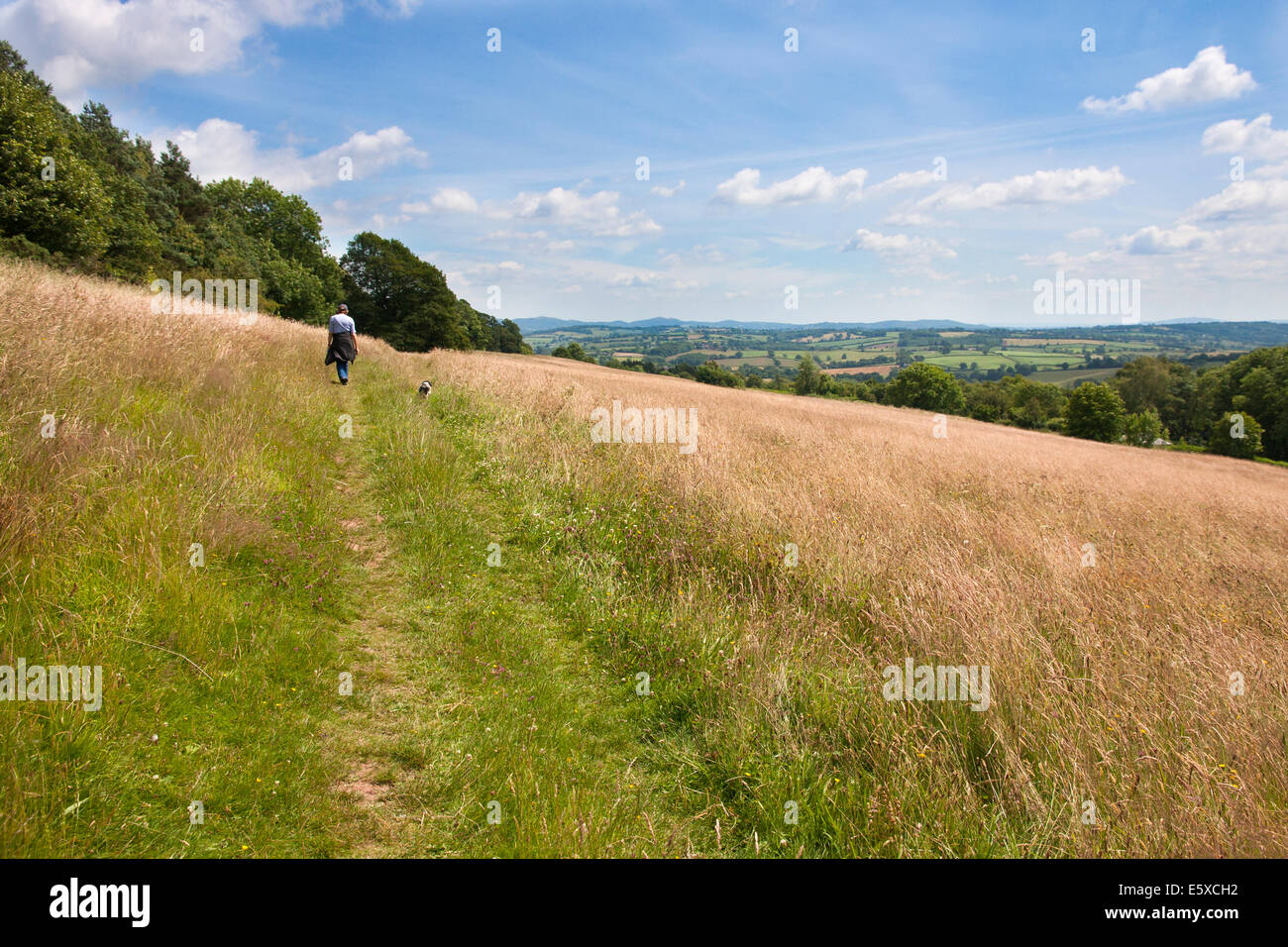 Bromyard downs hi-res stock photography and images - Alamy