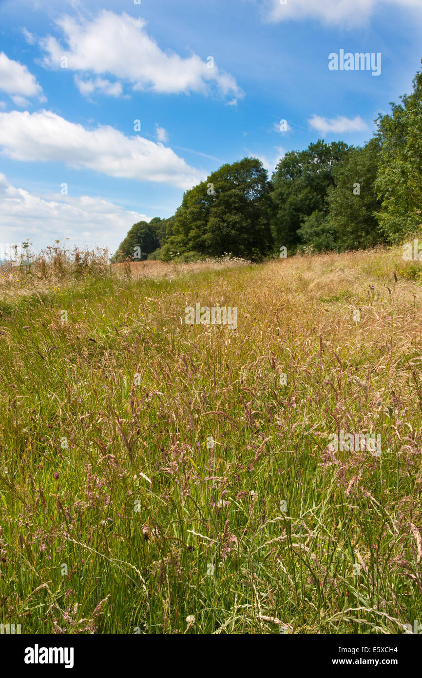 Bromyard downs herefordshire hi-res stock photography and images - Alamy