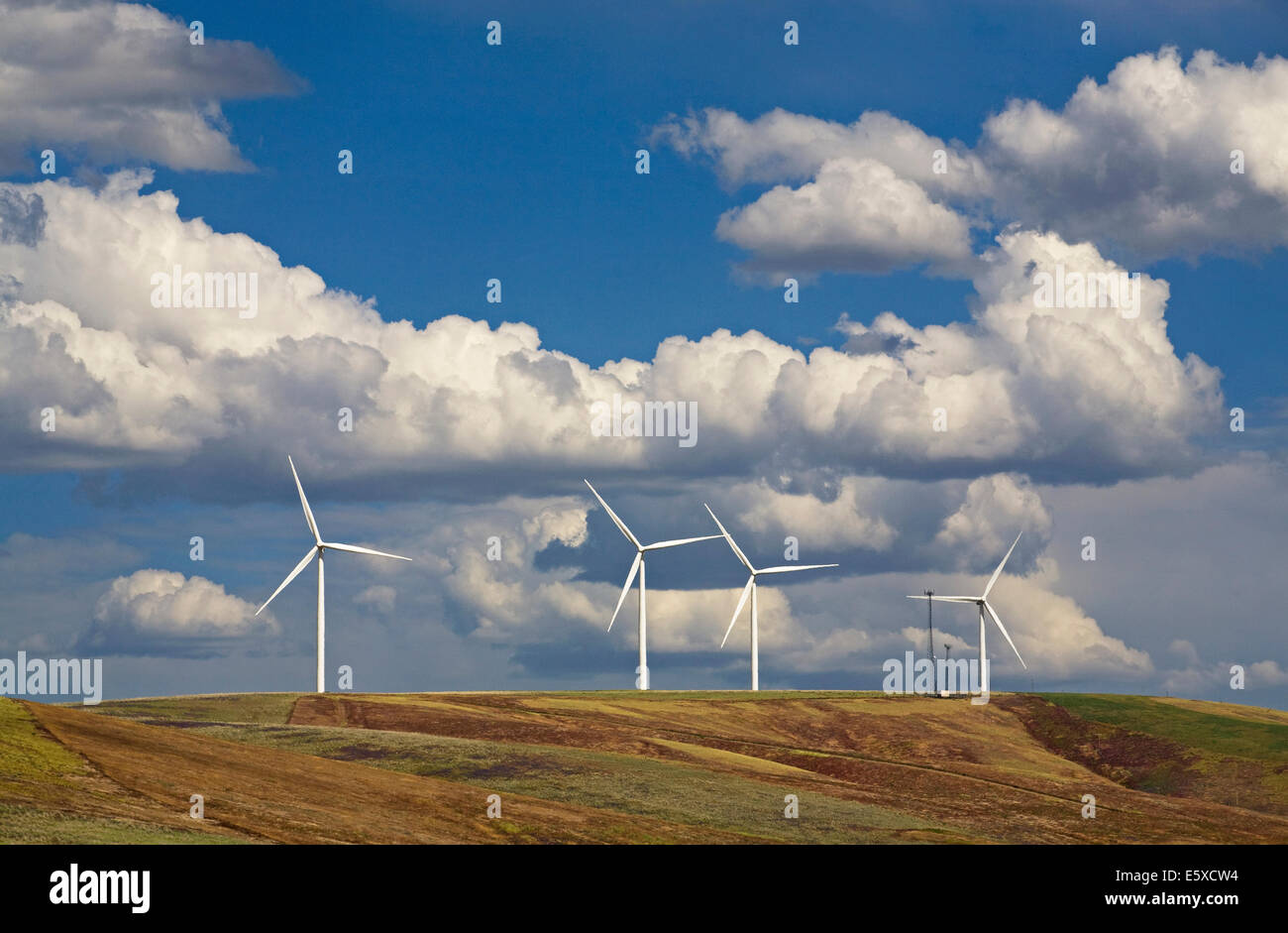 A wind farm with giant wind turbines in the remote Palouse Empire ...