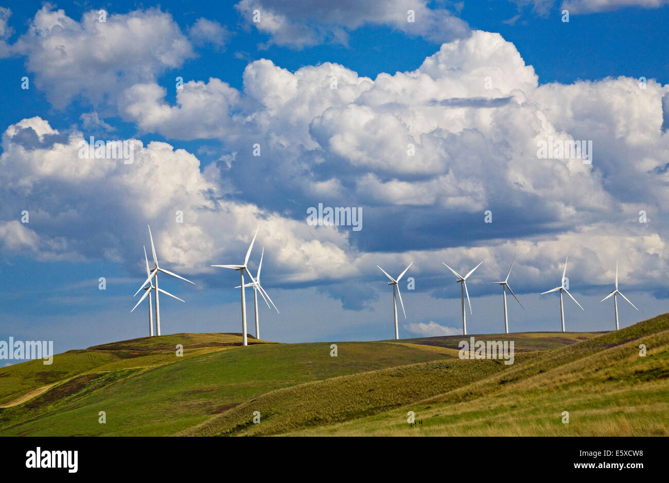 A wind farm with giant wind turbines in the remote Palouse Empire ...