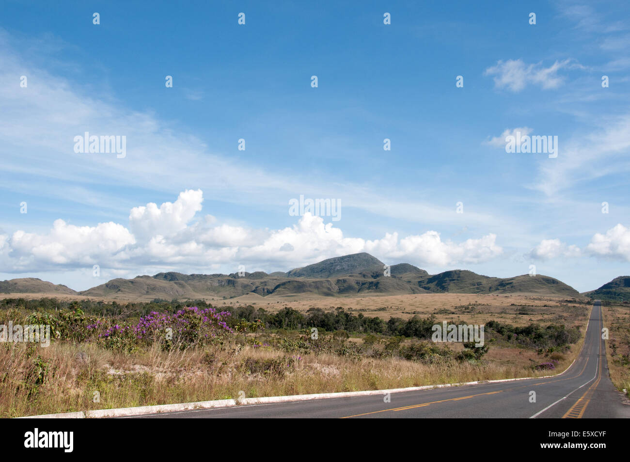 Brazil countryside hi-res stock photography and images - Alamy
