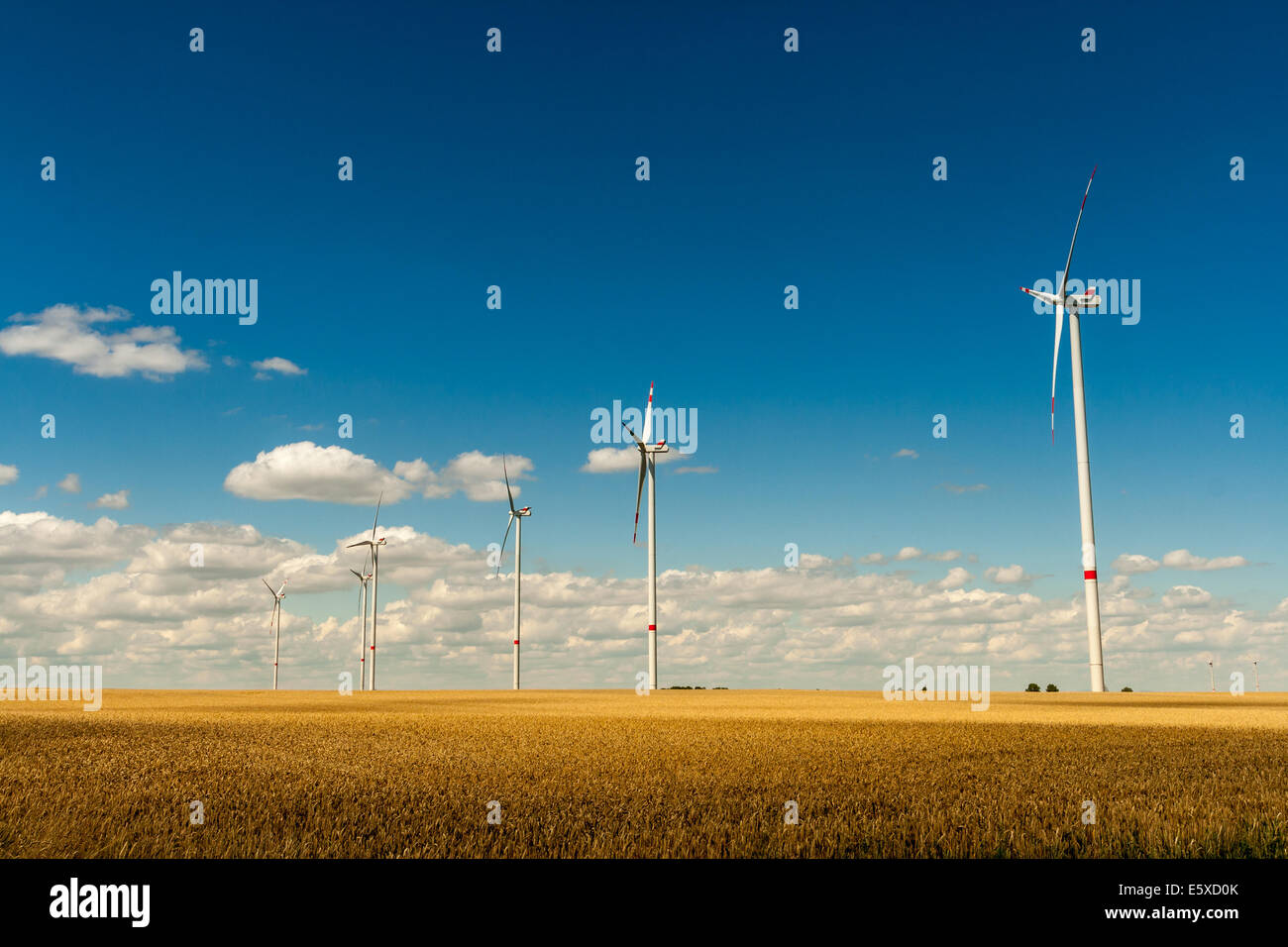 Stockfotos hi-res stock photography and images - Alamy