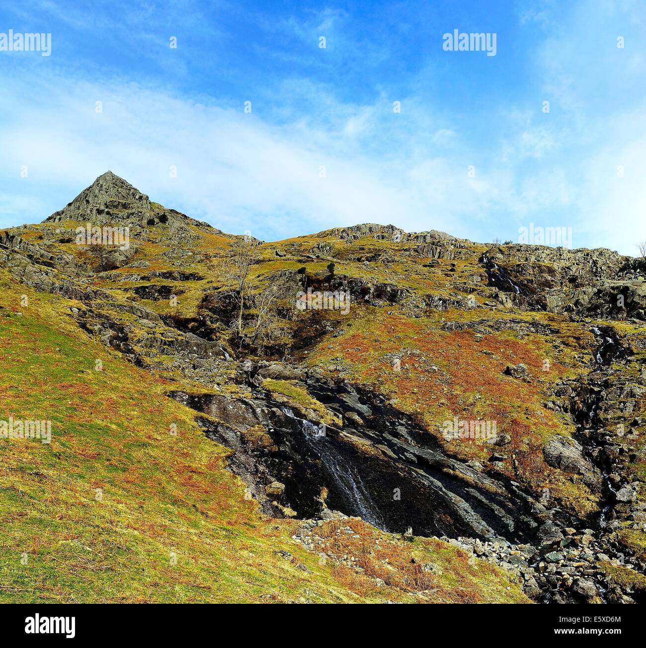 Belles knott hi-res stock photography and images - Alamy