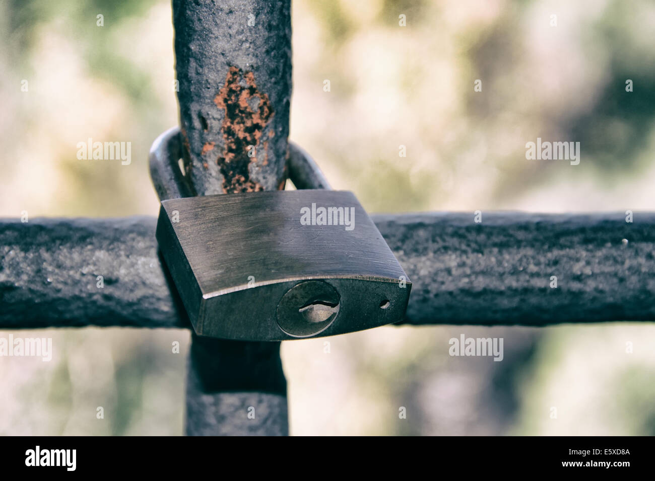 Old padlock on iron bars Stock Photo - Alamy