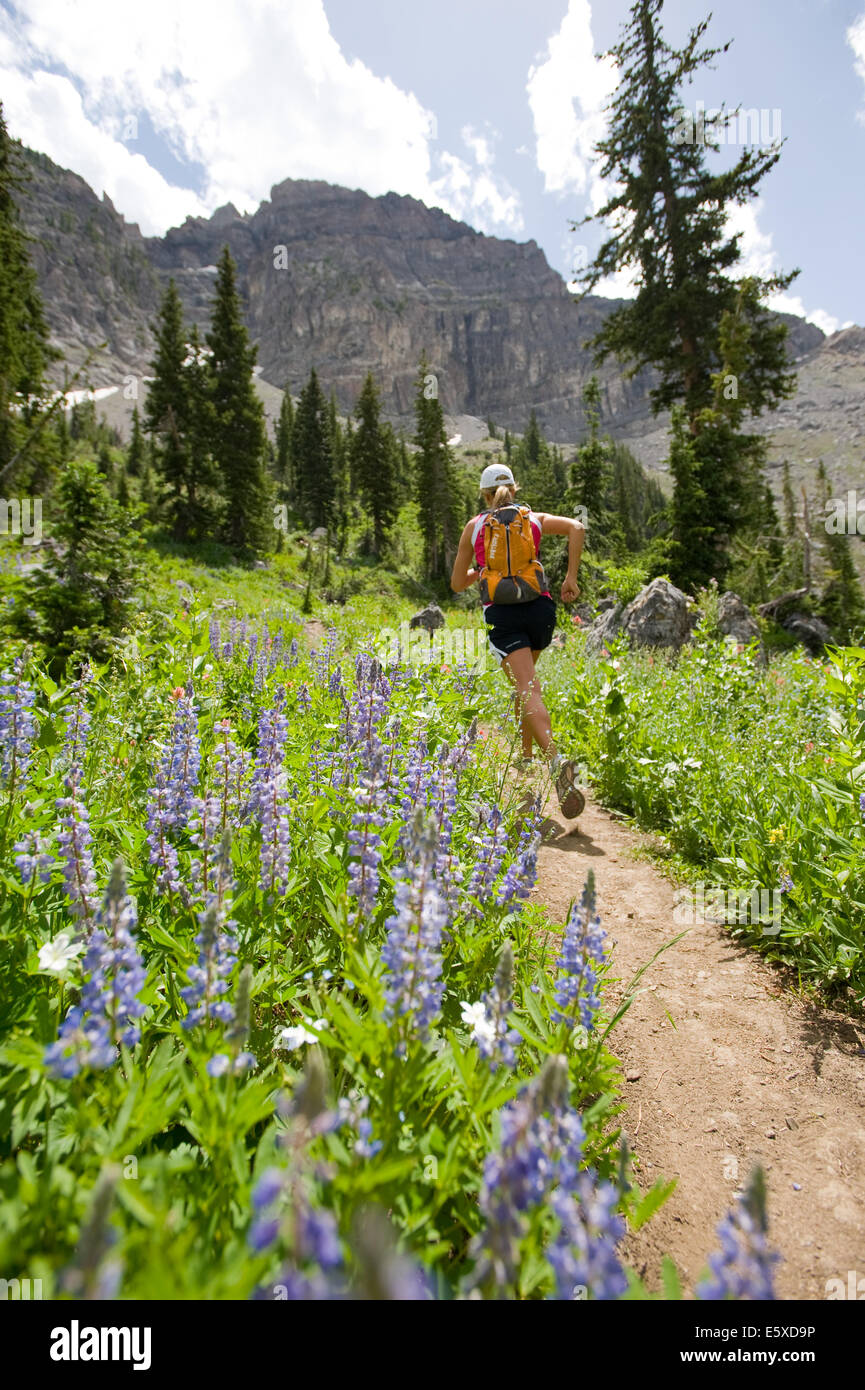 Albion basin hi-res stock photography and images - Alamy