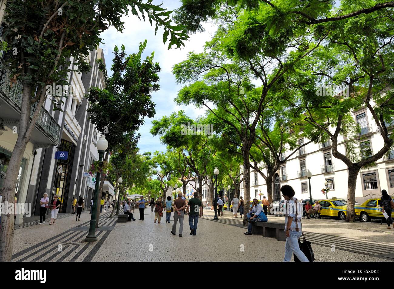 Funchal city street Madeira Portugal Stock Photo - Alamy