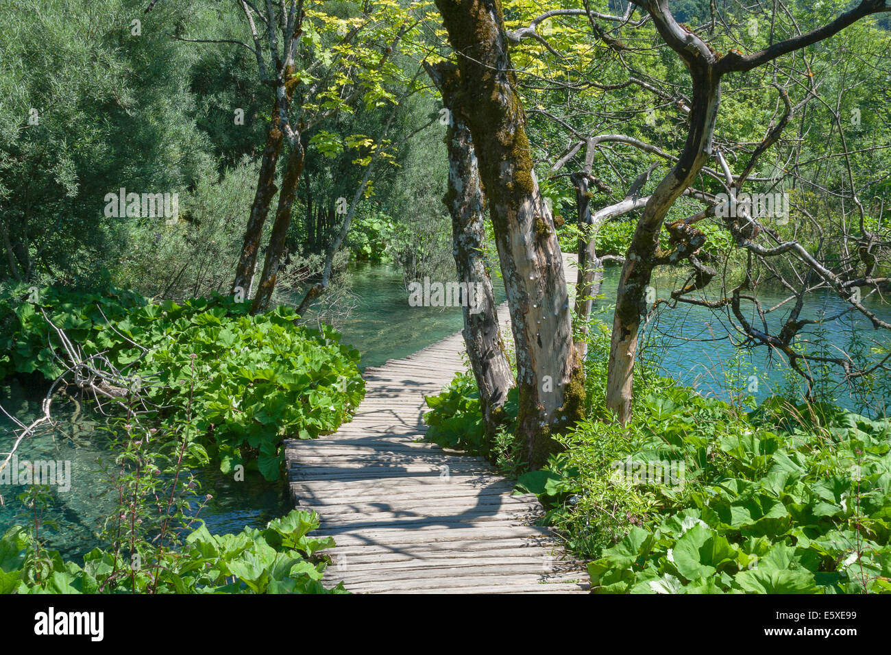 Lake and walk pathway in the woods Stock Photo - Alamy
