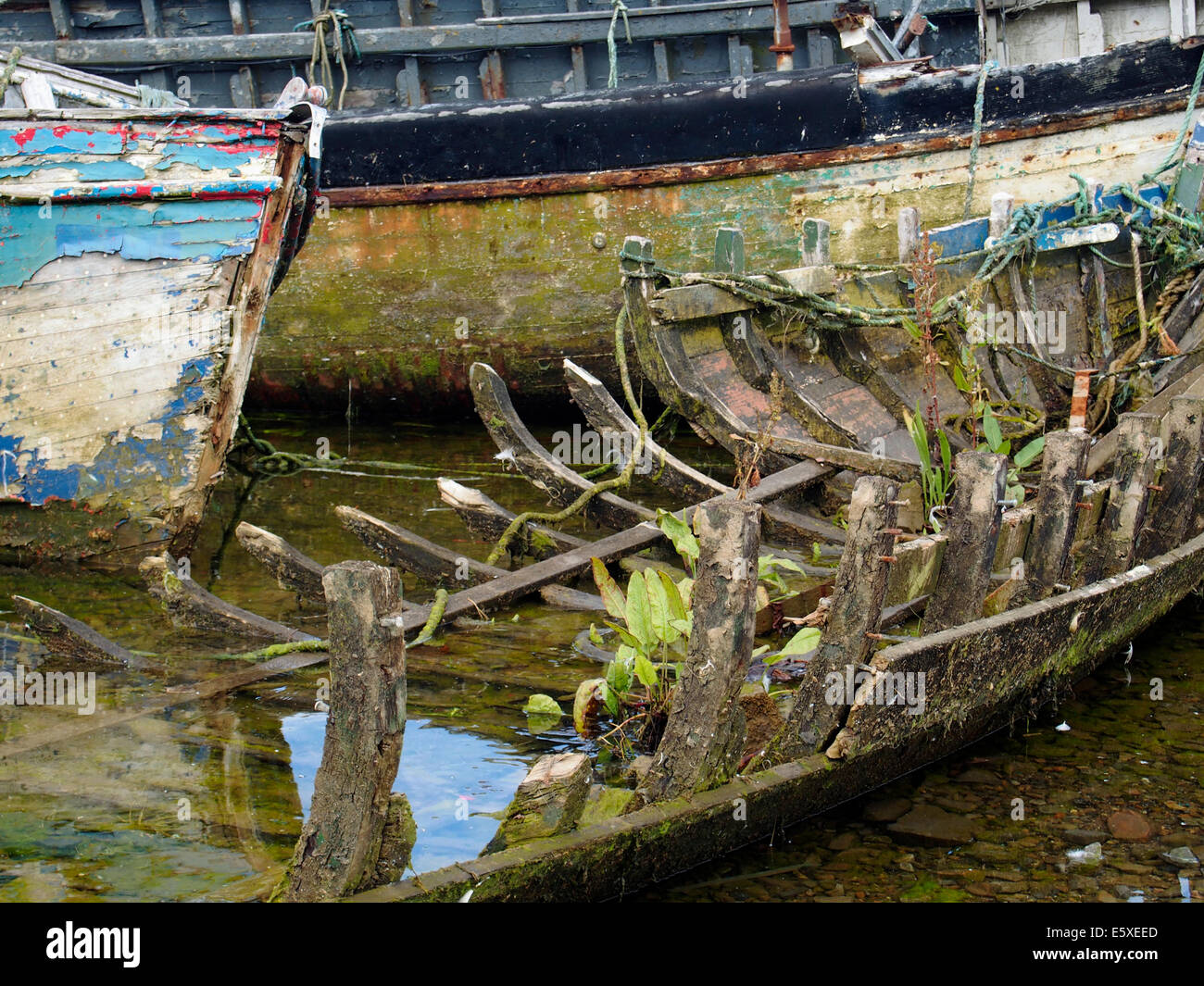 Abandoned fishing boats rotting in a quiet corner of the Claddagh basin ...