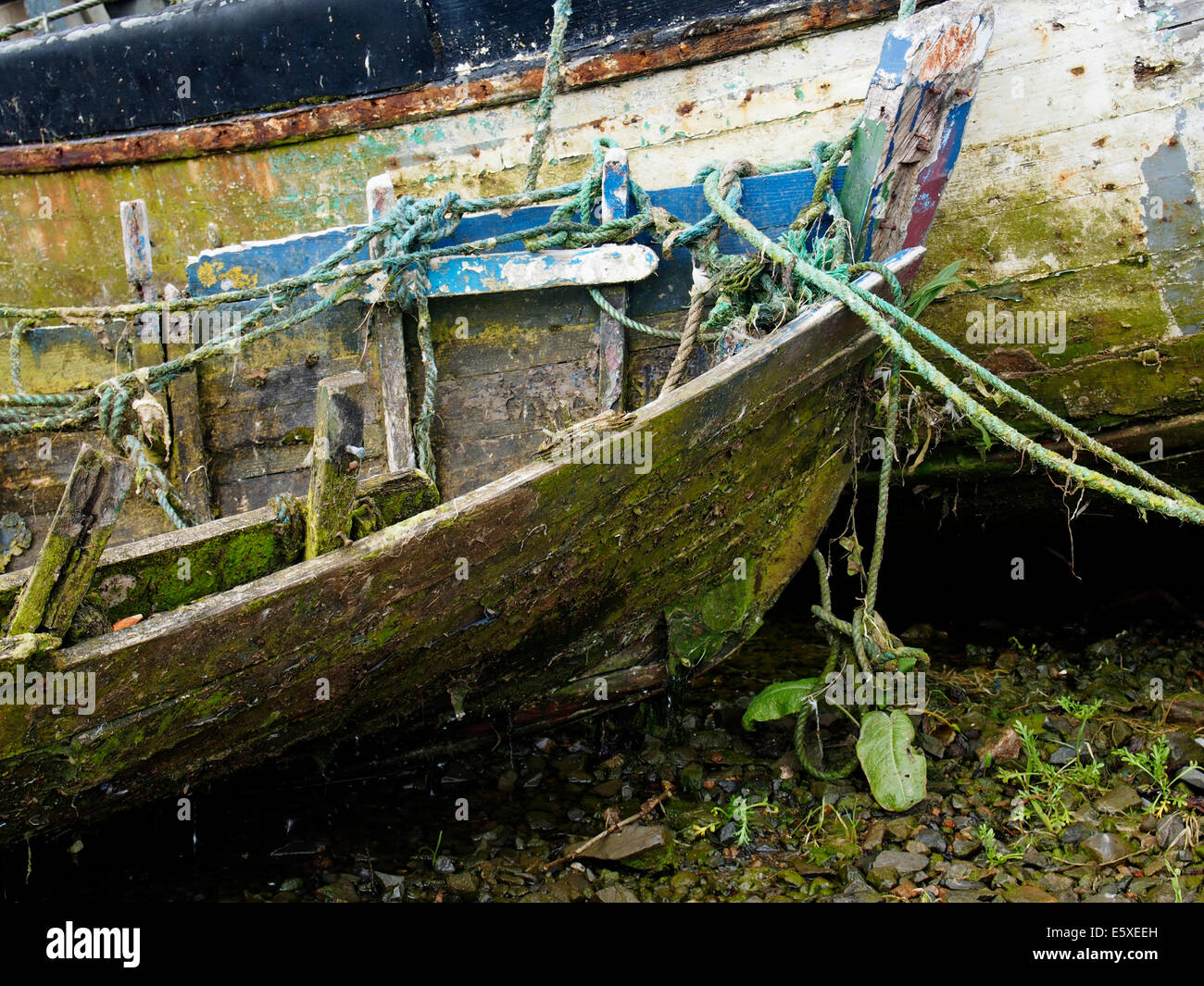 Abandoned fishing boats rotting in a quiet corner of the Claddagh basin ...