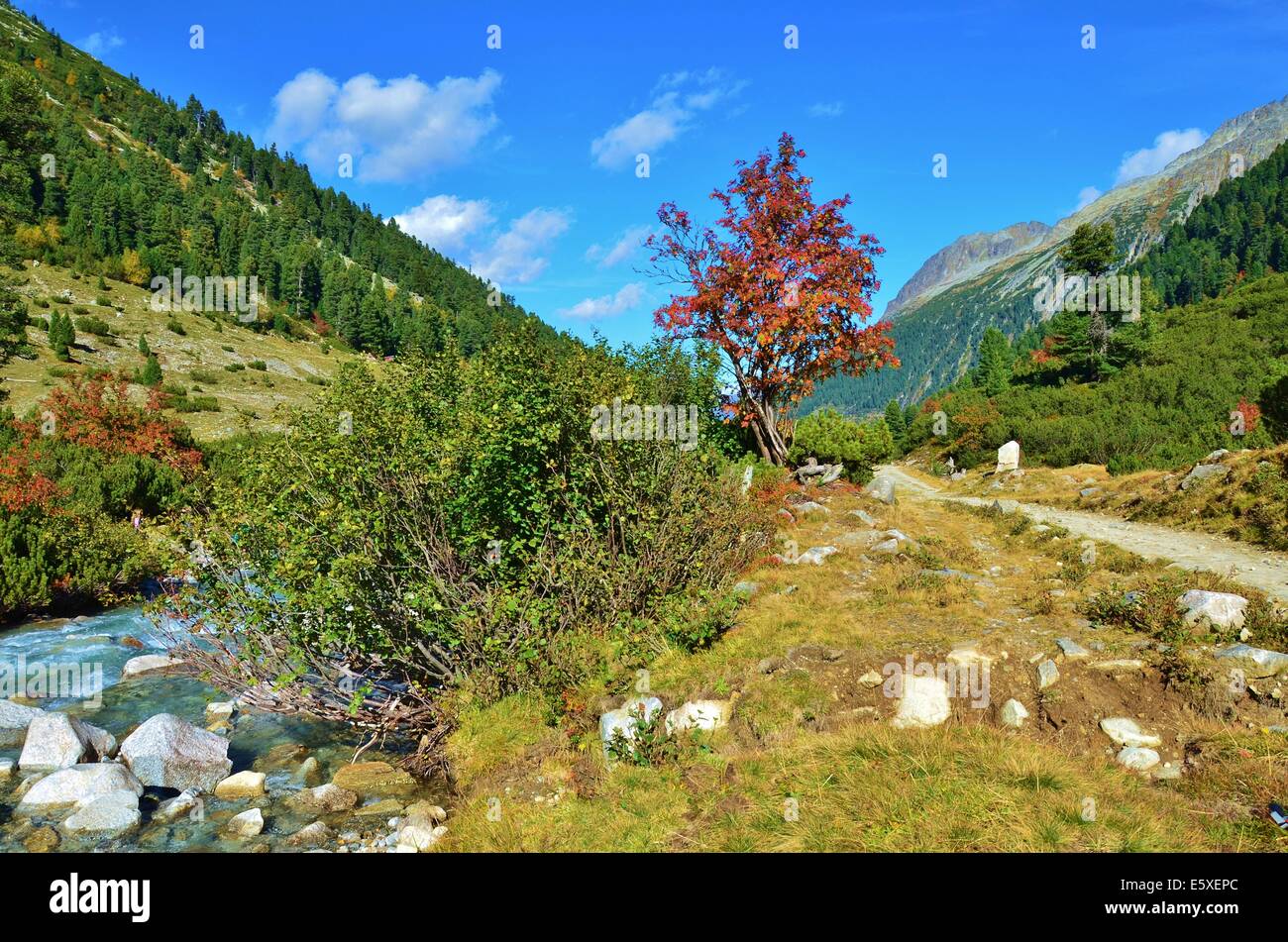 The High Alps Nature Park Zillertal Alps is a high mountain nature park ...