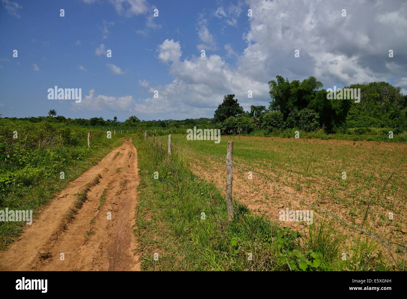 A simple dirt farm track, in the Vinales valley for field access Stock ...