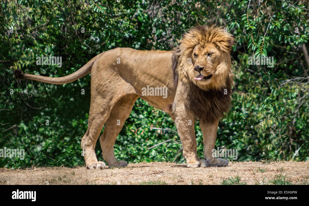 Large dam wall hi-res stock photography and images - Alamy