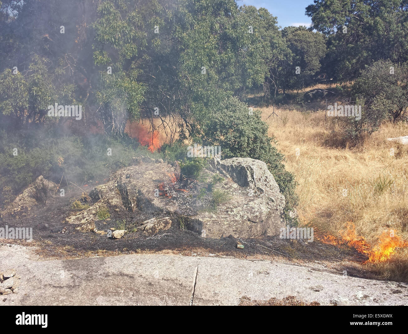 Flames of Fire in a summer field Stock Photo - Alamy
